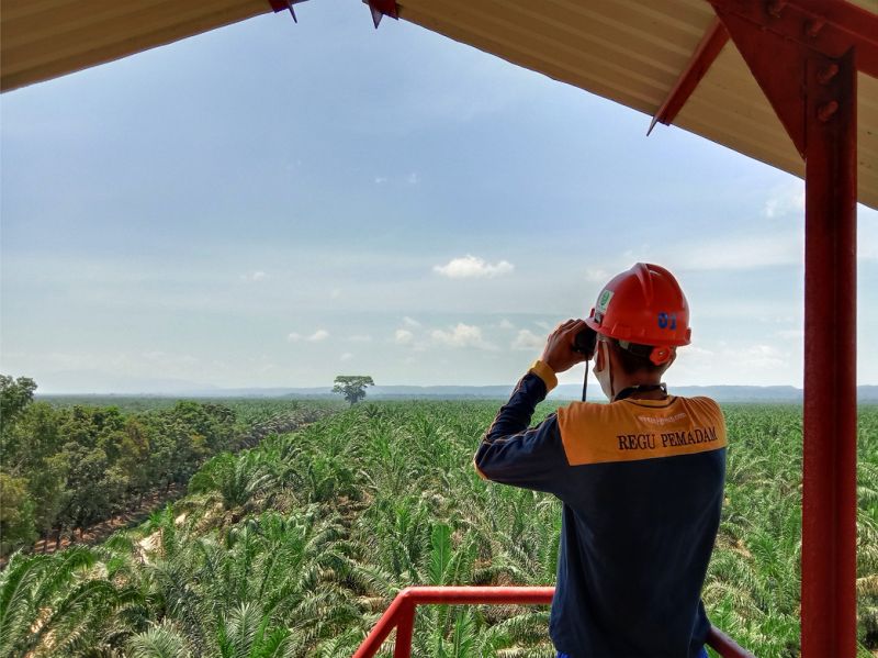 Perusahaan ini Mau Genjot Produksi CPO, Begini Caranya - elaeis.co