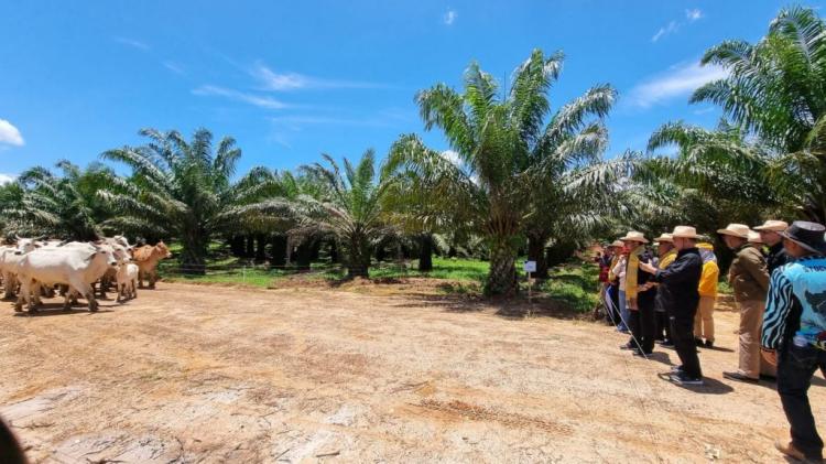 SISKA KU INTIP dari Kalsel Lolos ke Tahap III PPD 2023 - elaeis.co
