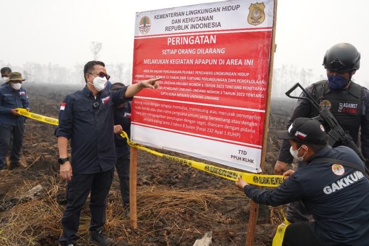 Kebun Sawit Milik Korporasi di Kalimantan Disegel, KLHK Siapkan Sanksi ...